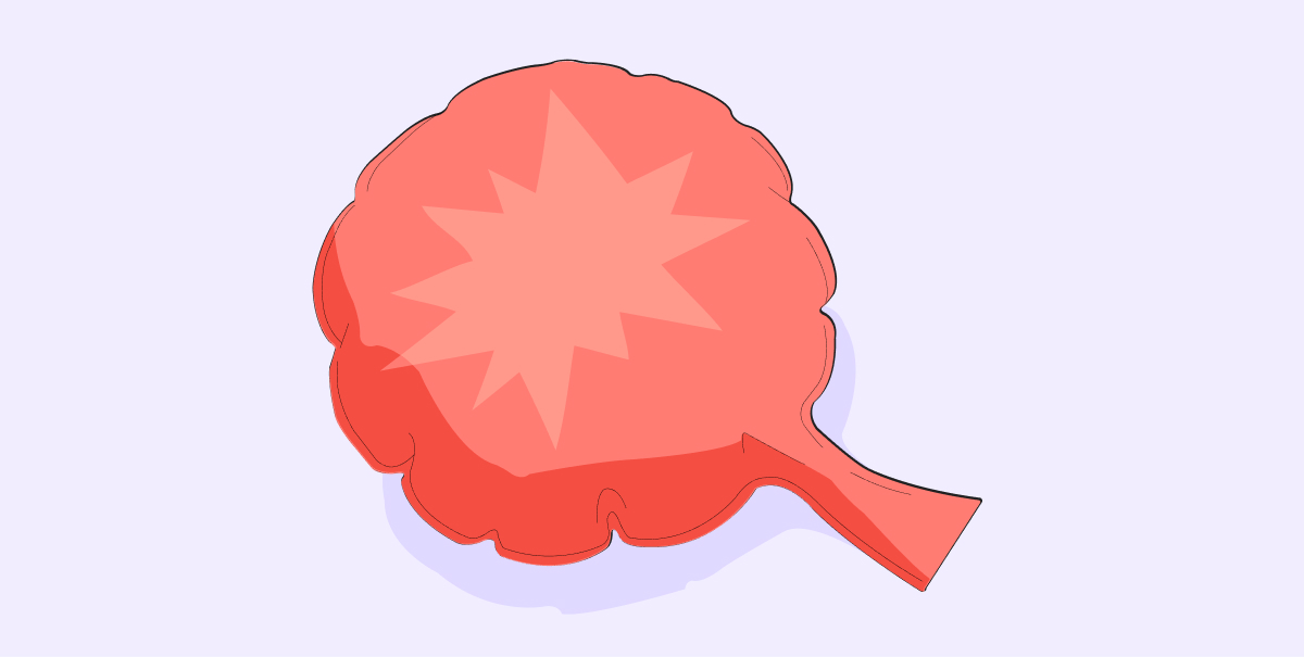 .lol 网域名称 - Gandi.net